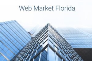 Orlando Seo Company Web Designer Customized Options